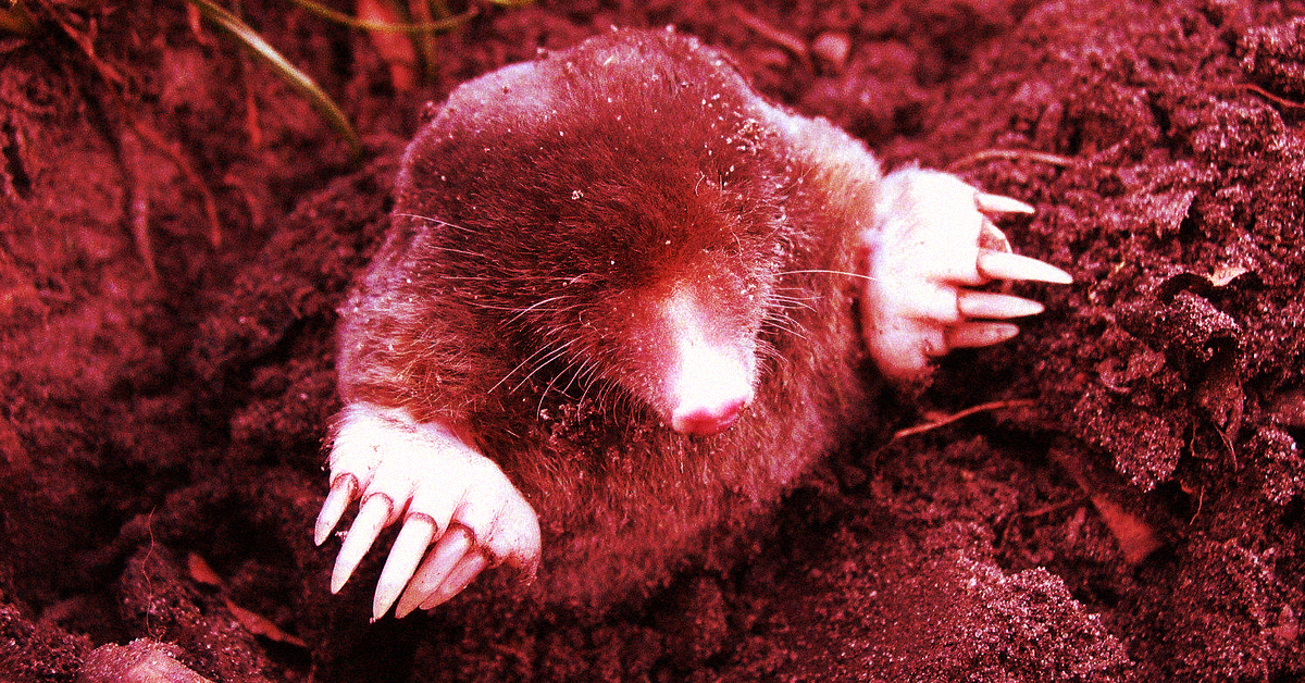 Transparency Update: FOI Whack a Mole