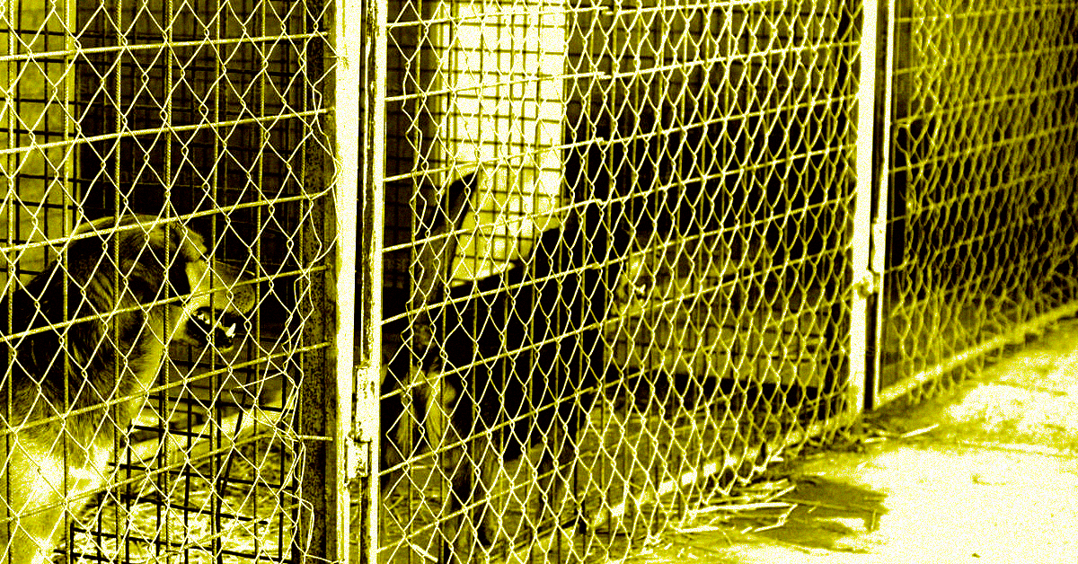 Dexter the dog euthanized, battle over kennel fees continues